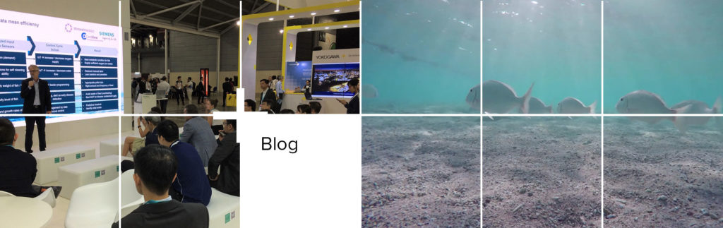 Blog - BluCurrent Singapore